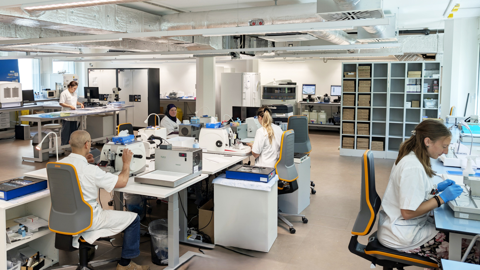 Modern-Path | Centre de pathologie | modernpath